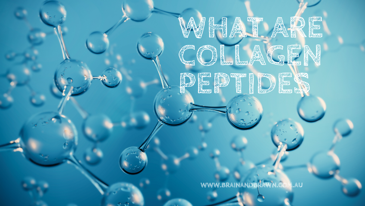 What are collagen peptides – Brain and Brawn Sydney
